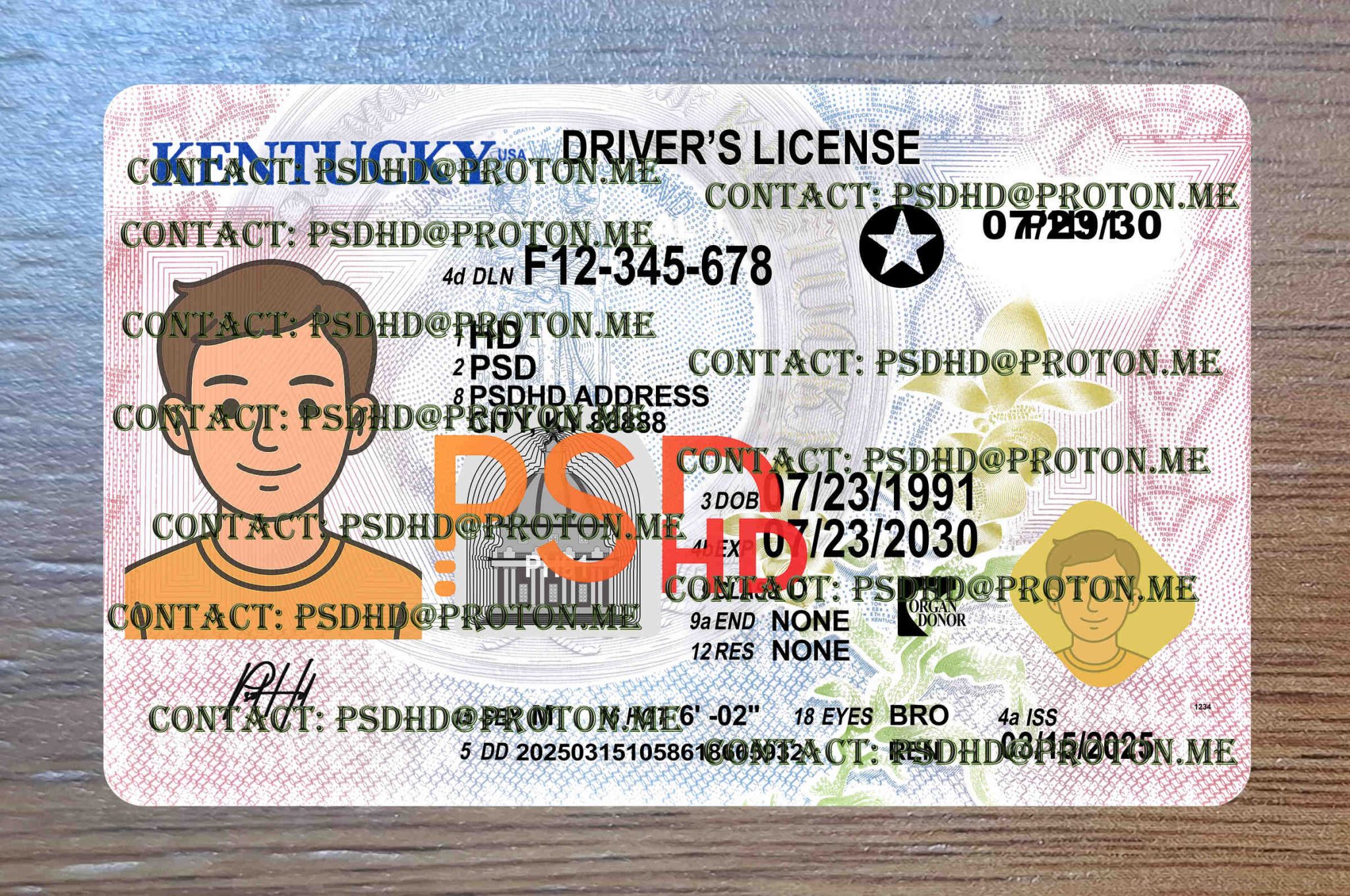 Kentucky Drivers License Template New V1 1200 DPI