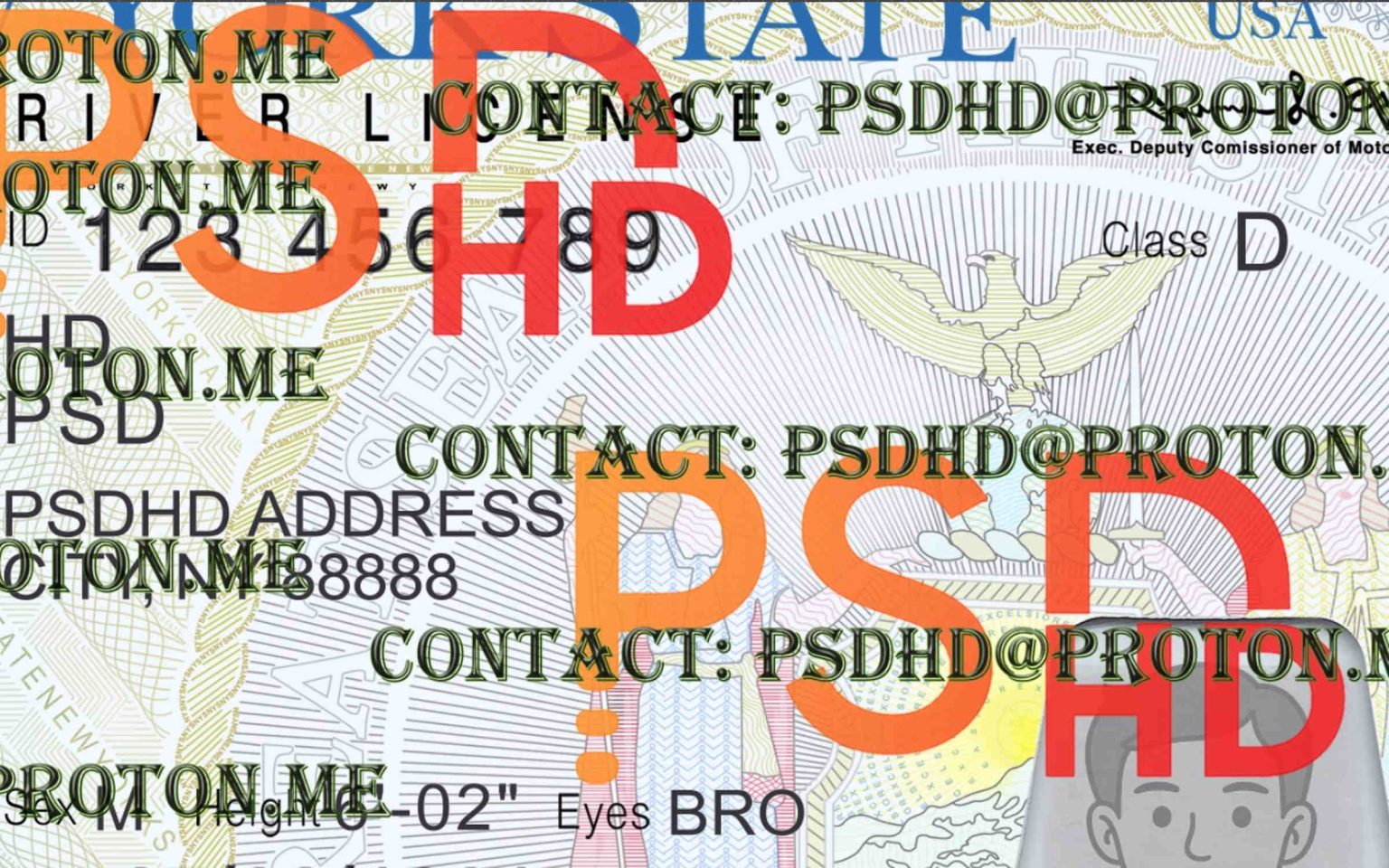 Fake New York Drivers License New V2 1200 DPI